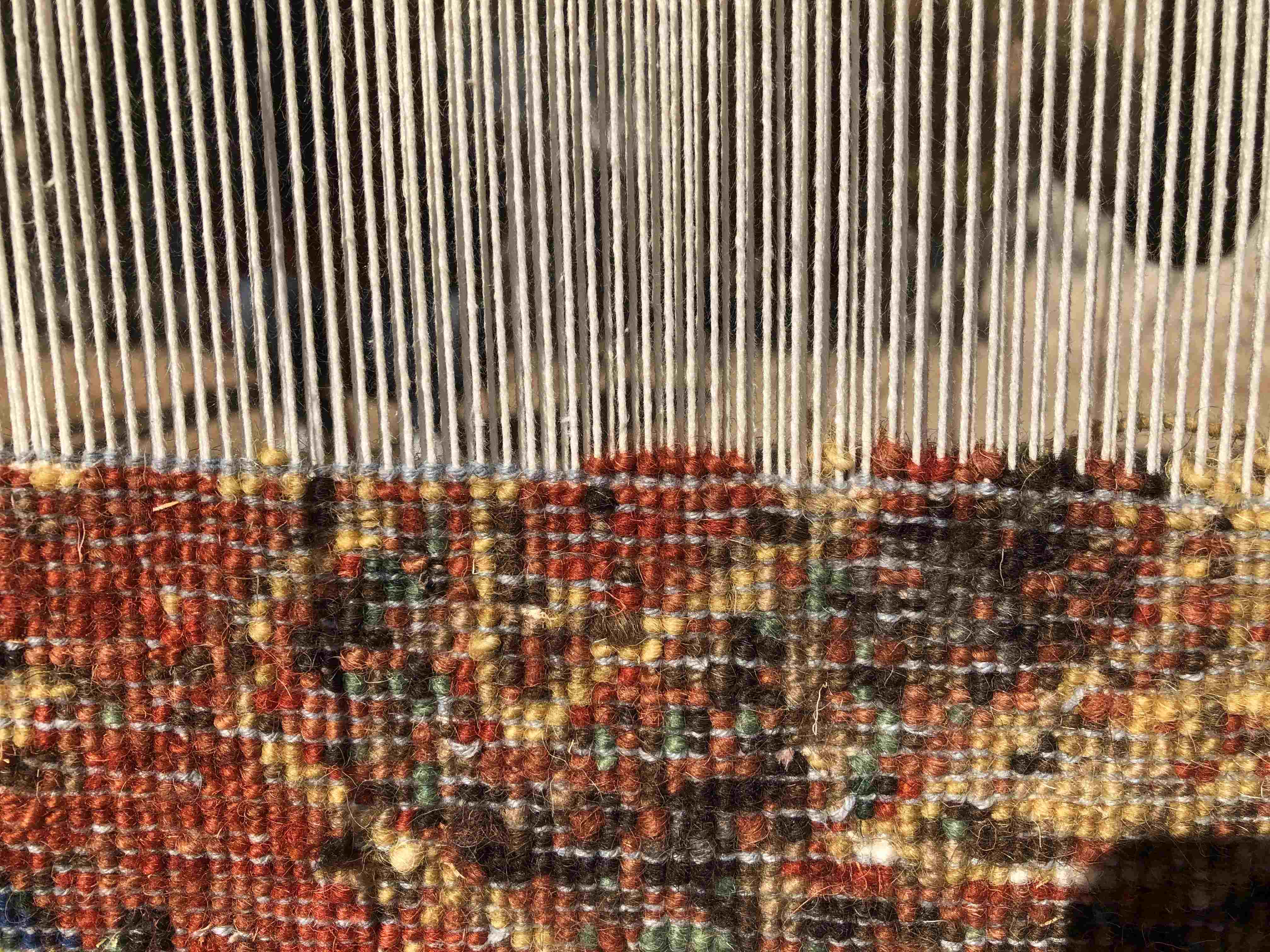Weaving the Future