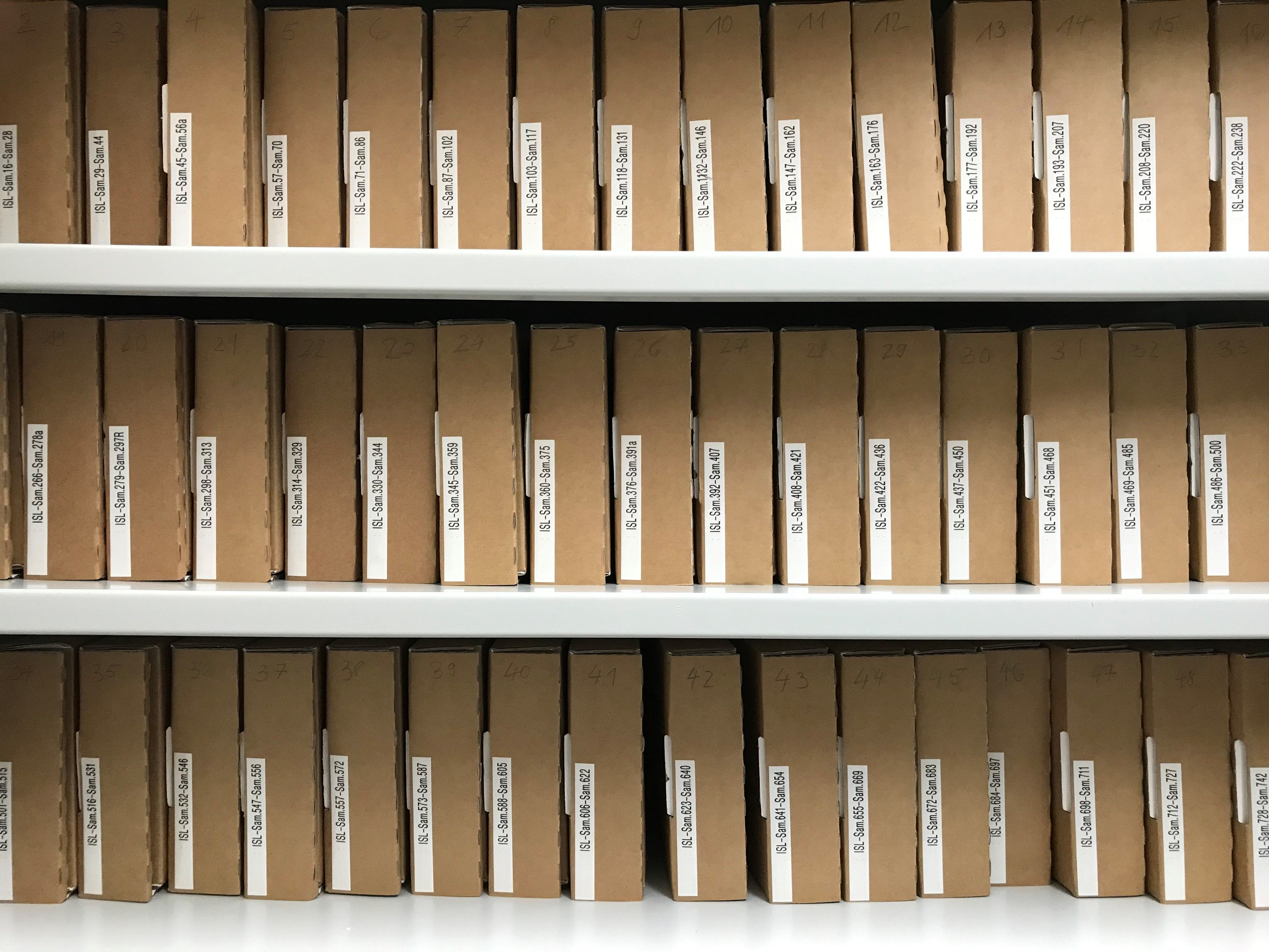 DIGITALISING SAMARRA