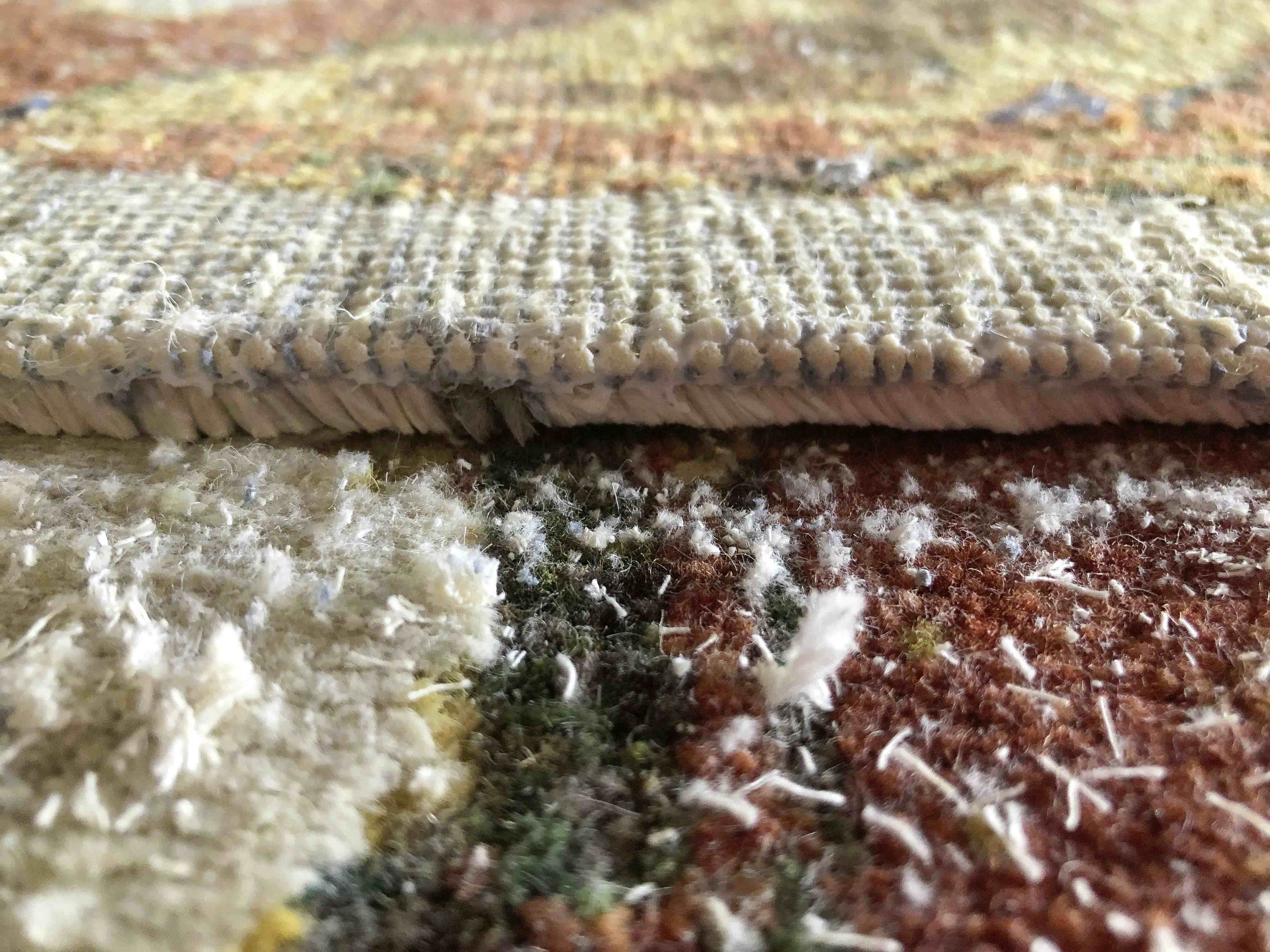 Where is the Dragon?